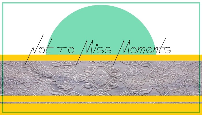 Not To Miss Moments – Life is a moment not to be missed!